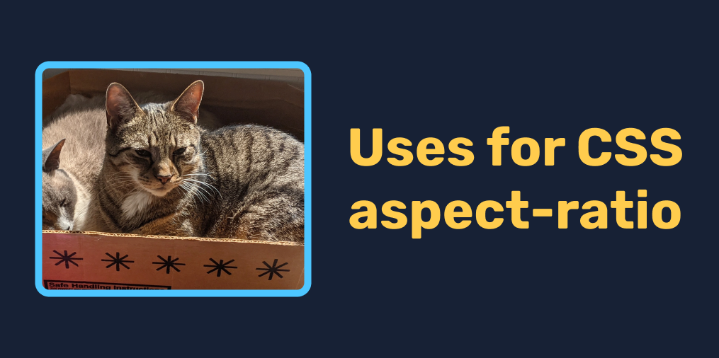 CSS aspect-ratio and some everyday uses for it - Craig Fox
